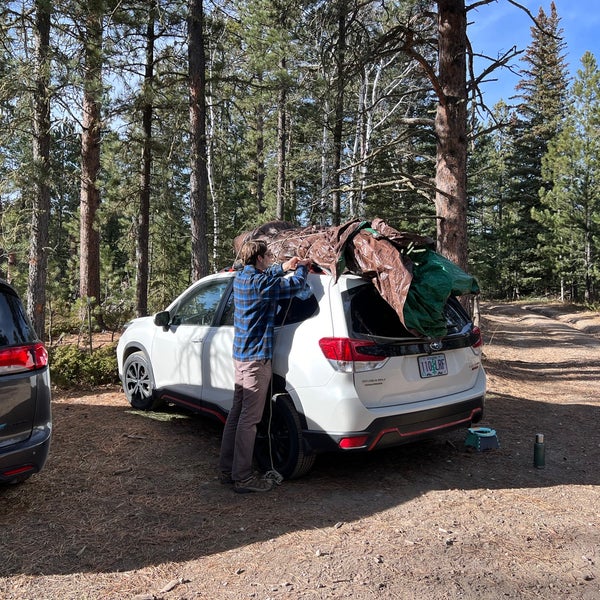 Black Hills National Forest - Rockerville, SD