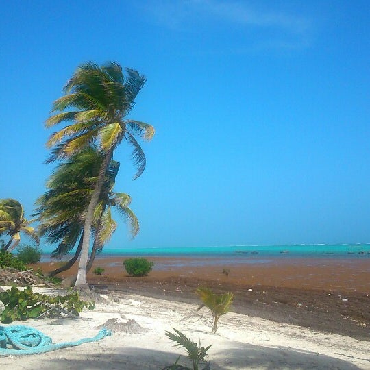Xcalak - Beach in Xcalak