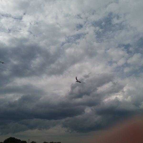 Chestnut Beach - 5 tips from 362 visitors