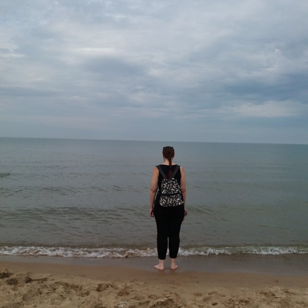 Chestnut Beach - 5 tips from 362 visitors