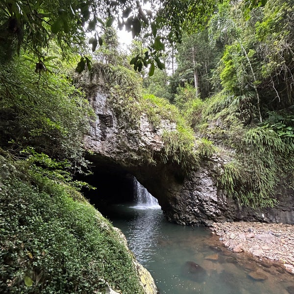 Natural Bridge - Springbrook National Park