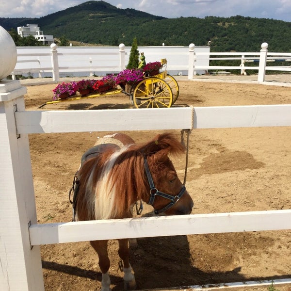 Photos at Vali Ranch, Gjilan - Përlepnic