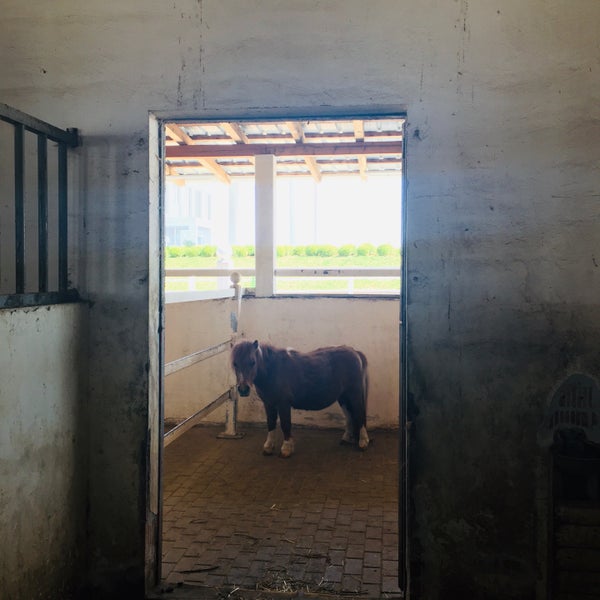 Photos at Vali Ranch, Gjilan - Përlepnic