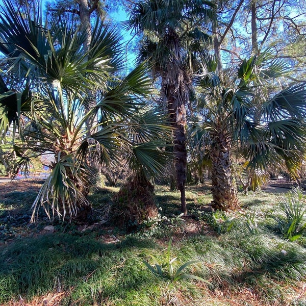 Jaycee Park & Community Center - Park