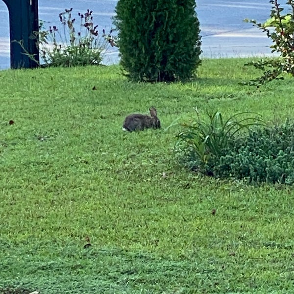 Morehead City - 6 tips from 1451 visitors