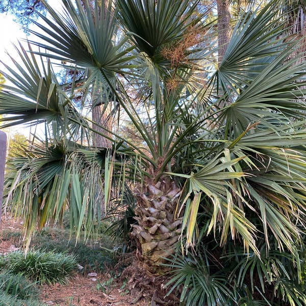 Photos at Jaycee Park & Community Center - Park