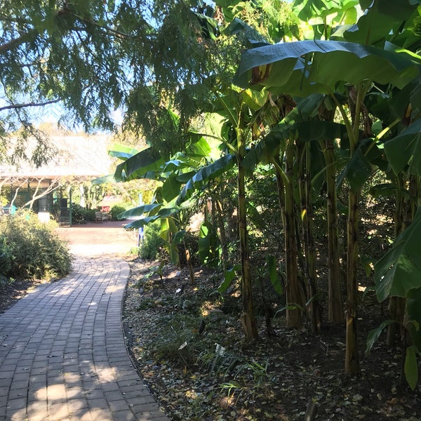 Ruby C. McSwain Education Center - 4415 Beryl Rd