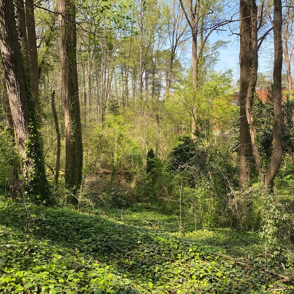 Photos at Jaycee Park & Community Center - Park