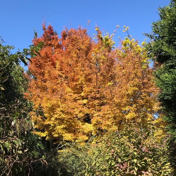 Ruby C. McSwain Education Center - 4415 Beryl Rd