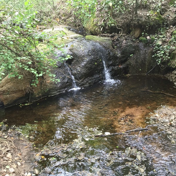 Photos at Jaycee Park & Community Center - Park