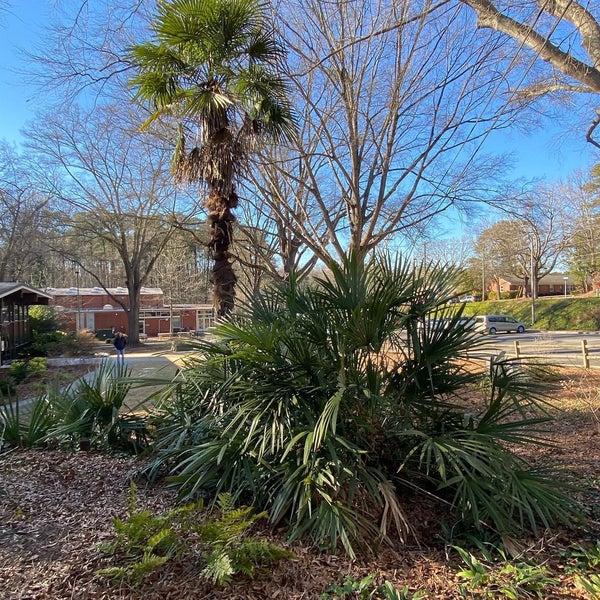 Photos at Jaycee Park & Community Center - Park