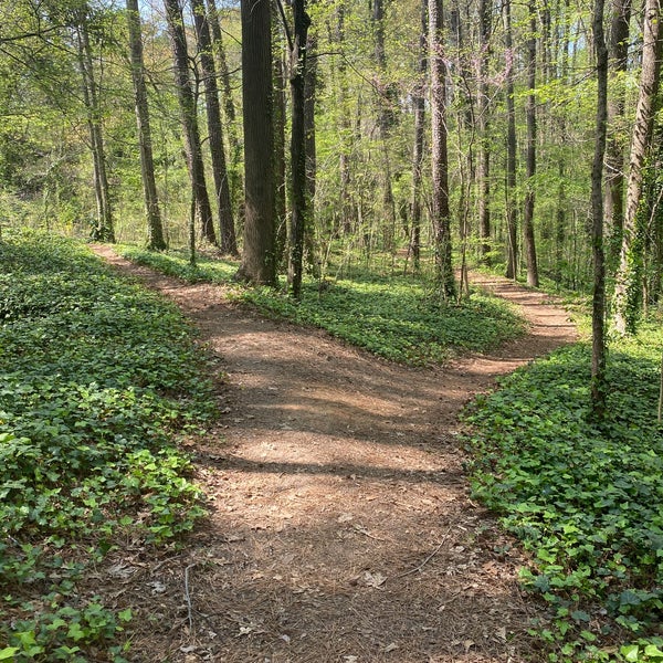 Photos at Jaycee Park & Community Center - Park