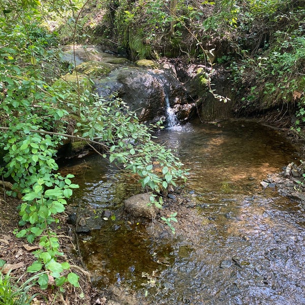 Photos at Jaycee Park & Community Center - Park