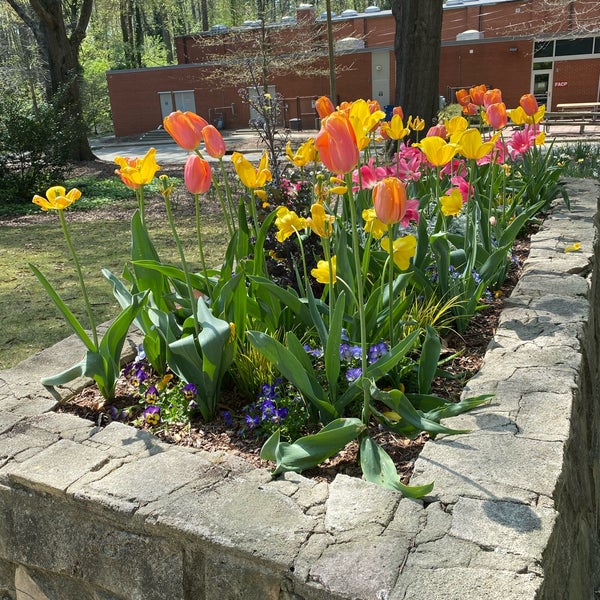 Photos at Jaycee Park & Community Center - Park