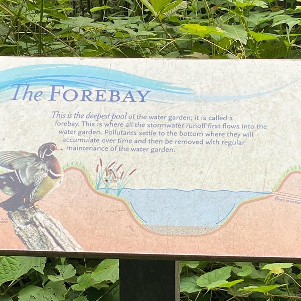 Fred Fletcher Park - Park in Raleigh