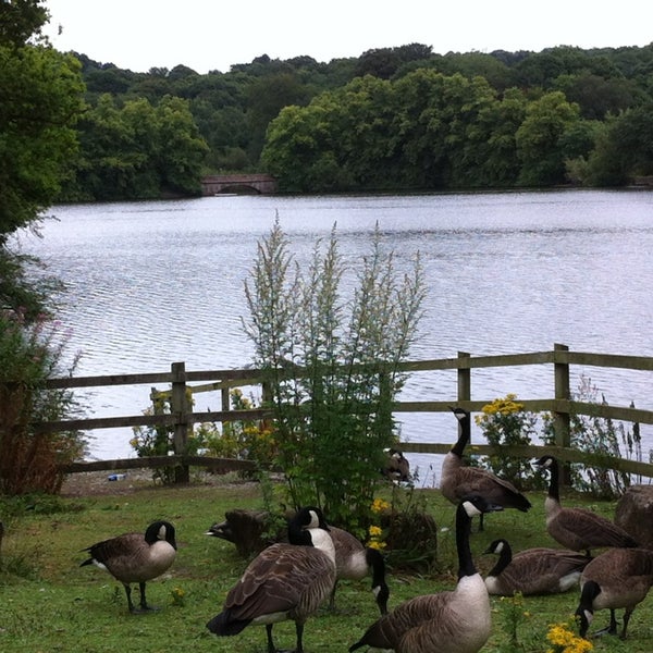 Knypersley Reservoir - Reservoir in Stoke on Trent