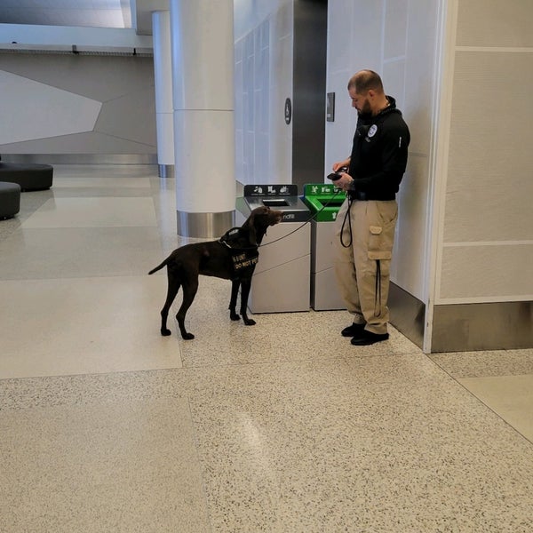 TSA Security Checkpoint - San Francisco International Airport - 24 tips ...