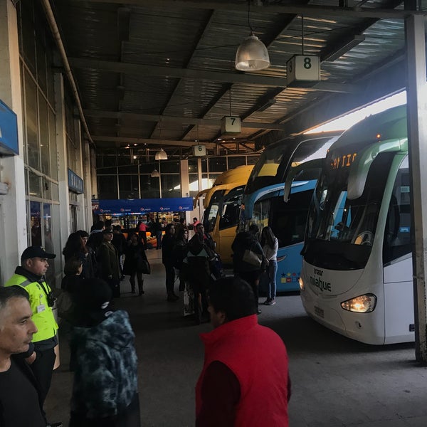 Terminal de Buses María Teresa - Bus Station
