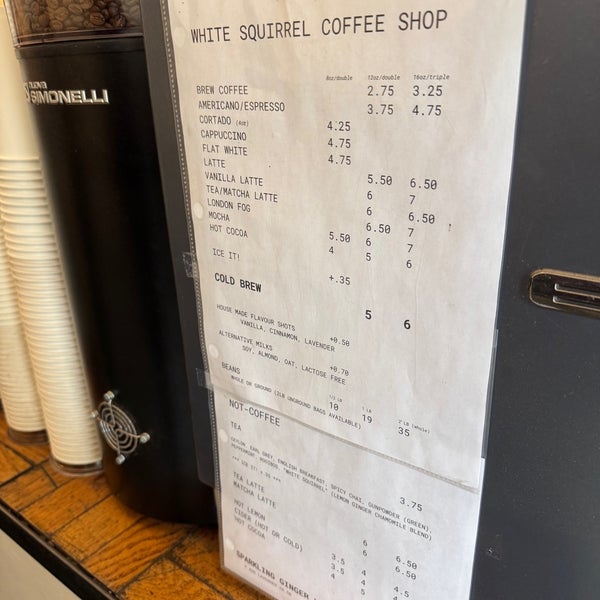 White Squirrel - Toronto, ON