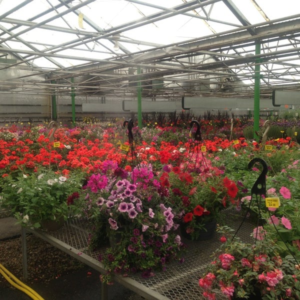Sunnyside Garden Center - Bowness - 4 tips from 188 visitors