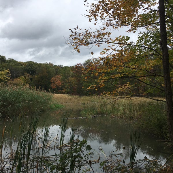 Manitou Point Nature Preserve Blue Trail - 411 NY-9D