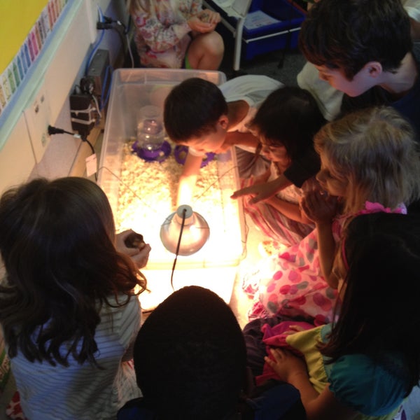 Escondido Elementary School - Elementary School in Stanford