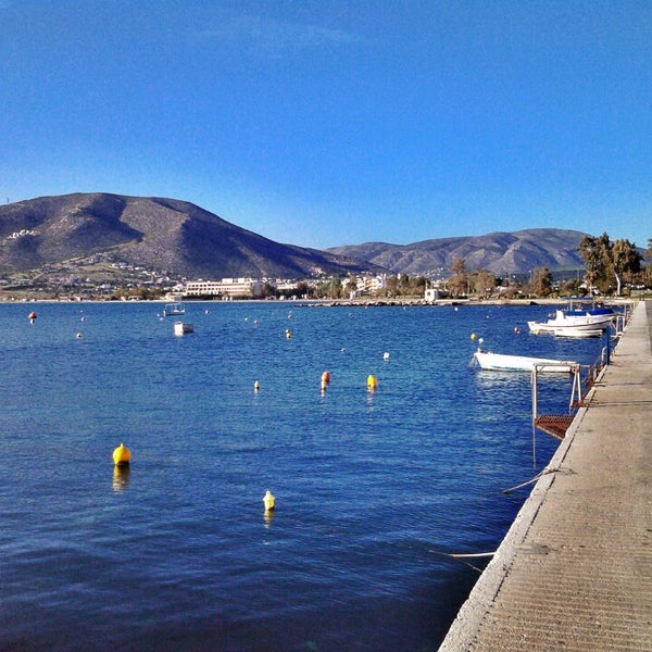 Λιμάνι Παλαιάς Φώκαιας - Harbor / Marina in Παλαιά Φώκαια