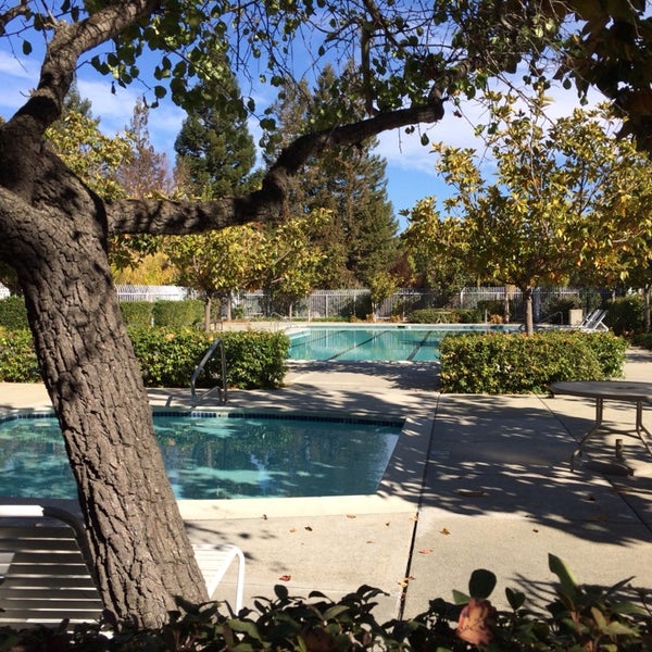 Seven Springs Pool - Cupertino, CA