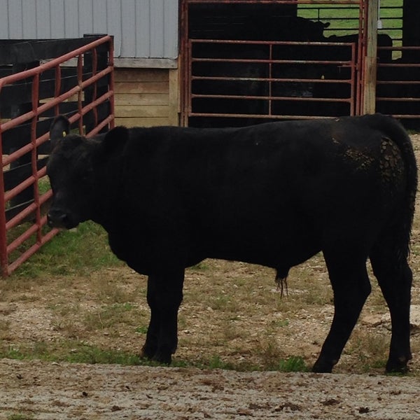 Derrickson Agricultural Complex - Morehead, KY