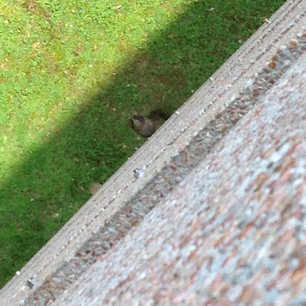 Photos at Nunn Hall - Morehead, KY