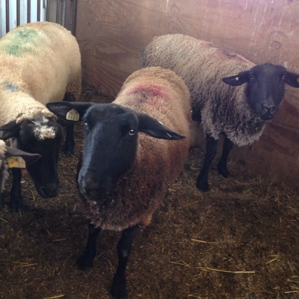 Derrickson Agricultural Complex - Morehead, KY