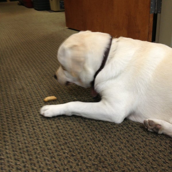 Fish Hawk - Buckhead Village - Atlanta, GA