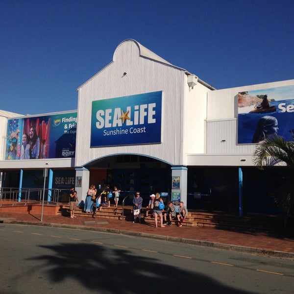Underwater World - Mooloolaba, QLD
