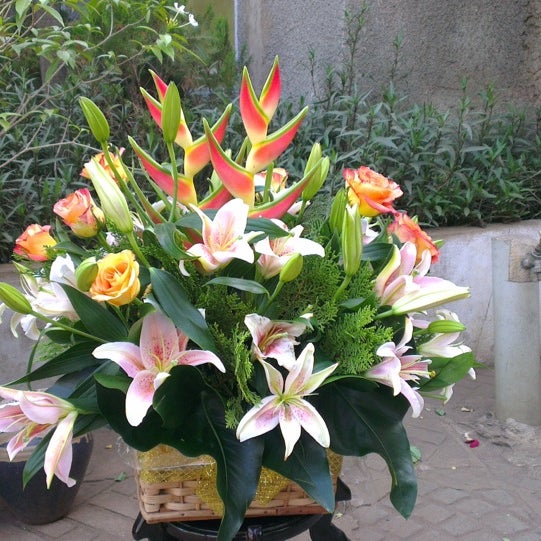 Alpha Beta Flora - Cantonments