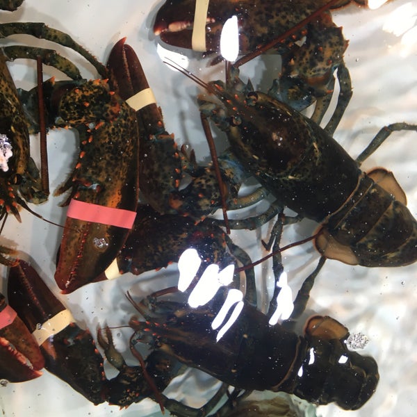 Photos at Grand Bayview Seafood Restaurant - 15 tips