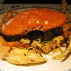 Photos at Hunan Taste - Chinese Restaurant in Greenvale