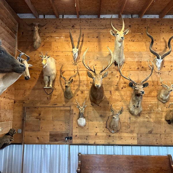 Rockin’ Y Ranch - Oak Hill - 7600 Stillridge Dr