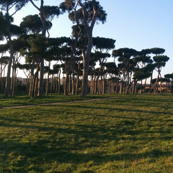 Parco Regionale Del Pineto - Park in Primavalle