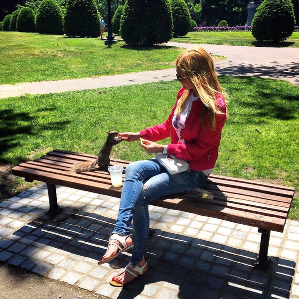 Good Will Hunting Bench Ted
