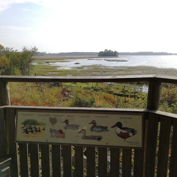 Hakalan lintutorni - Viikinranta - Hakala, Helsinki