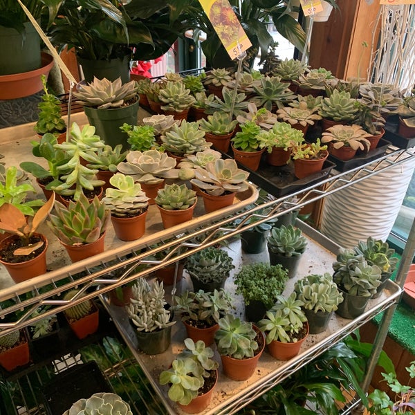 LaSalle Flower Shop - River North - 731 N La Salle Dr