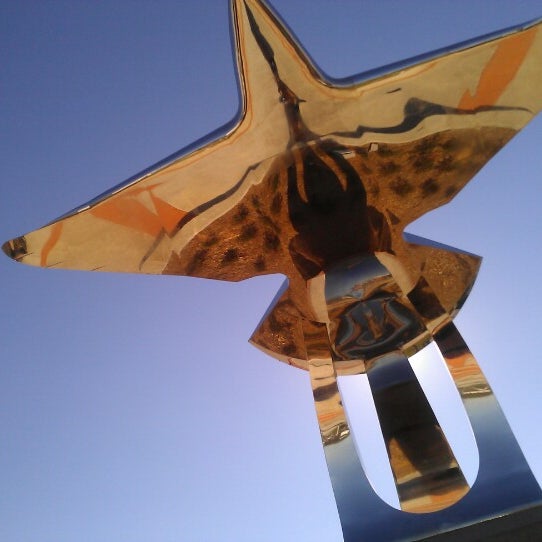 Embry-Riddle Aeronautical University - 12 tips