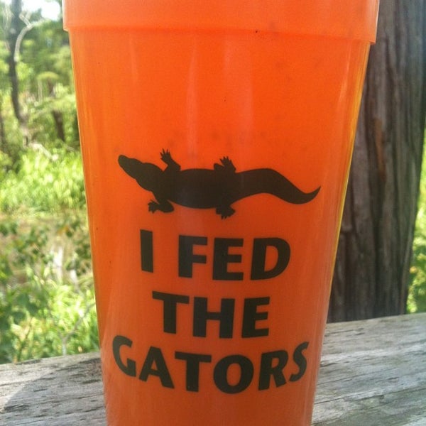 Alligator Alley - 19950 County Road 71