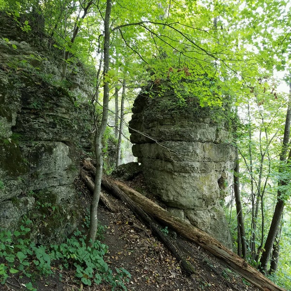 Backbone State Park - 4 tips