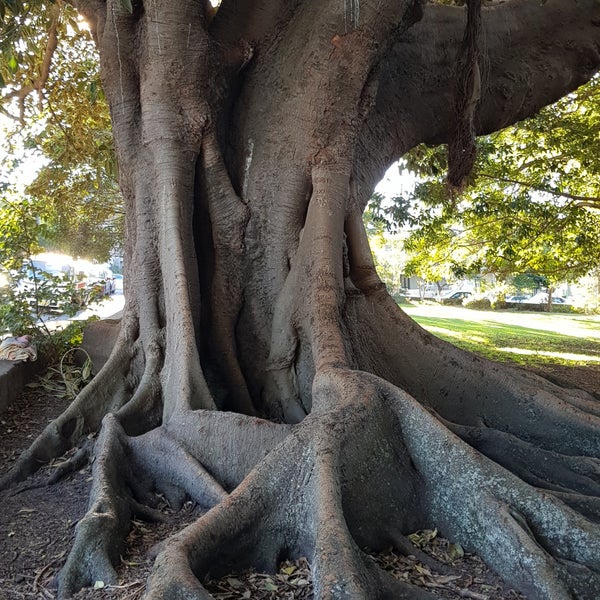 Punch Park - Wortley St