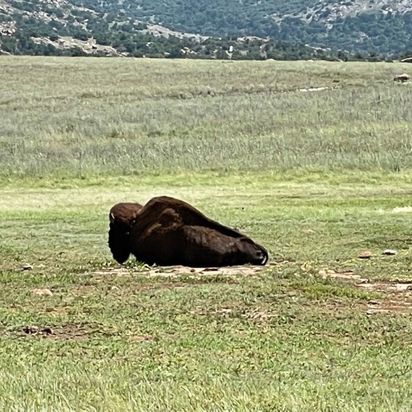 Wichita Mountains Wildlife Refuge - 7 tips from 378 visitors