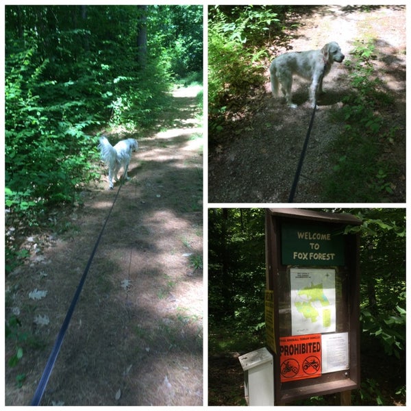 Fox Forest - Hiking Trail in Hillsborough