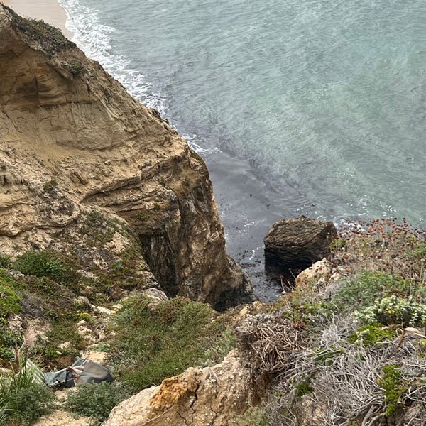 Cowell Ranch Beach & Trailhead - Beach