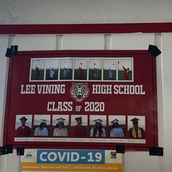 Mono Cone - Burger Joint