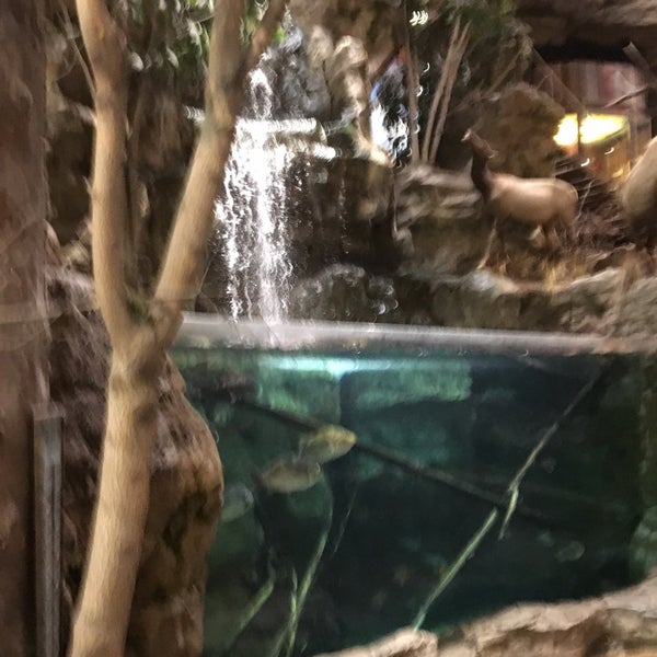 Photos at Bass Pro Shops - Portage, IN